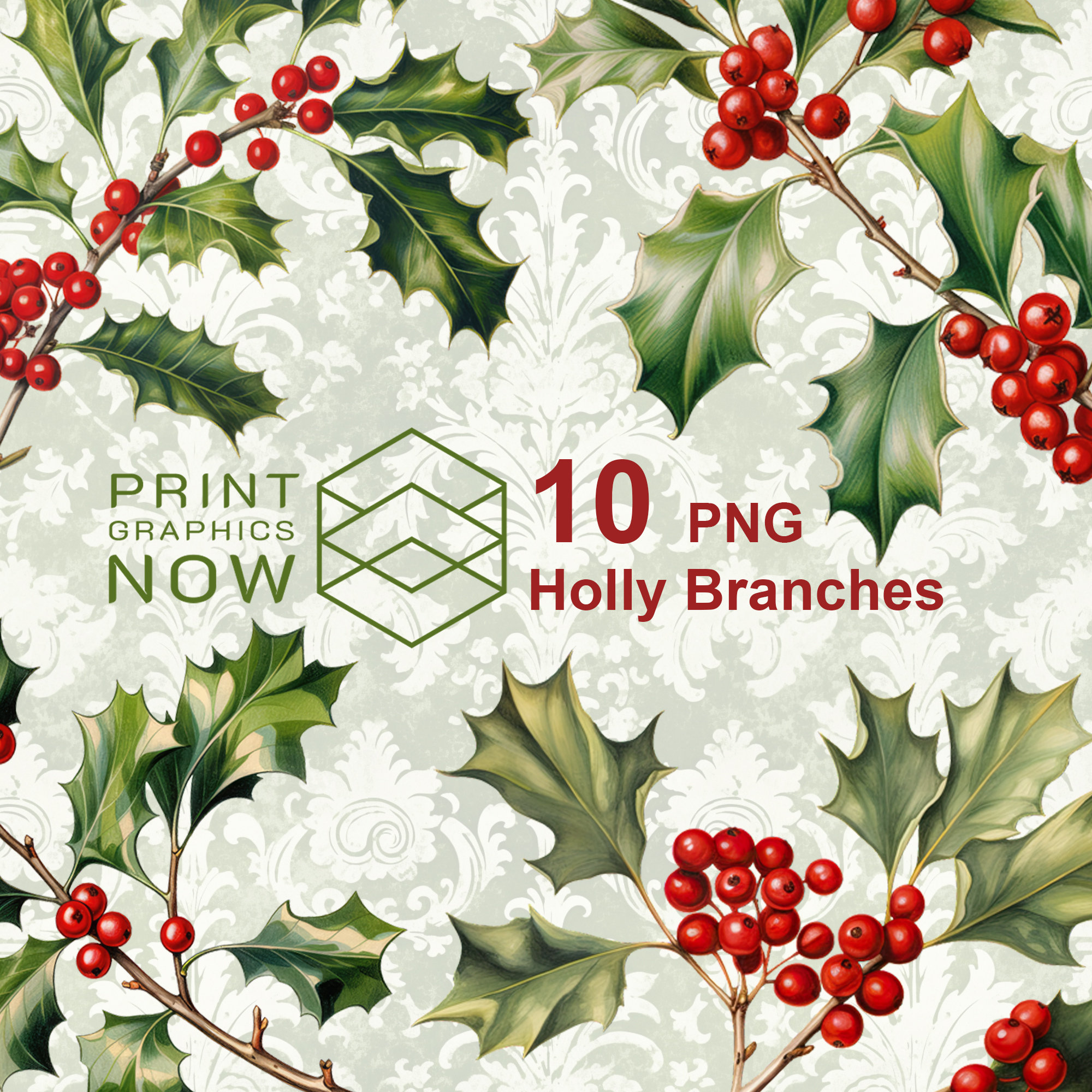 Holly Branches Clipart, Christmas Holly and Berries PNG Transparent ...