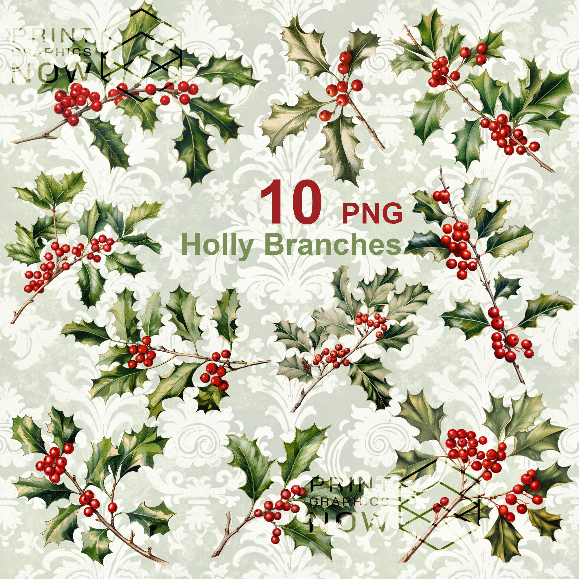 Holly Branches Clipart, Christmas Holly and Berries PNG Transparent ...