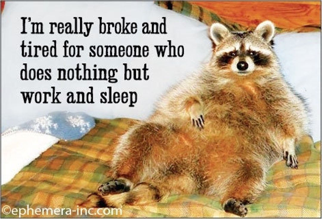 I'm Really Broke and Tired Fridge Magnet - Etsy