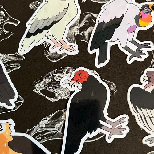 Vulture Culture Sticker Pack - Etsy