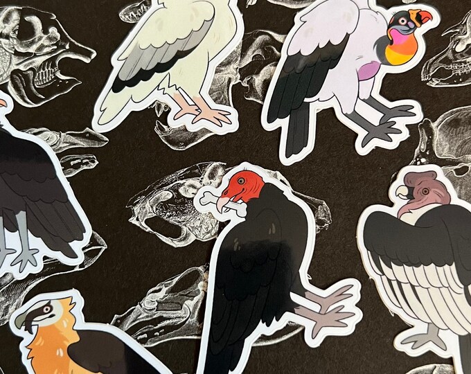 Vulture Culture Sticker Pack - Etsy