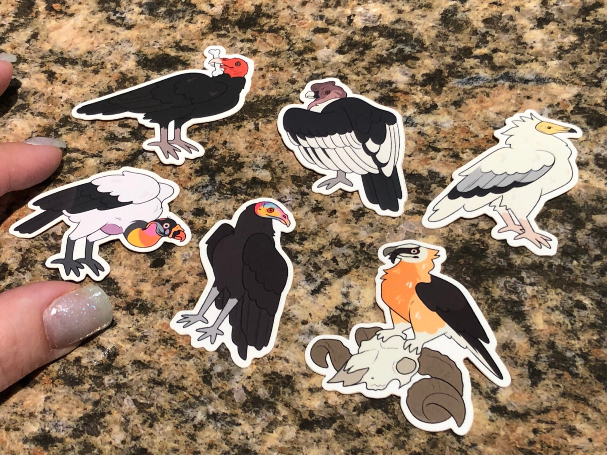 Vulture Culture Sticker Pack | Etsy
