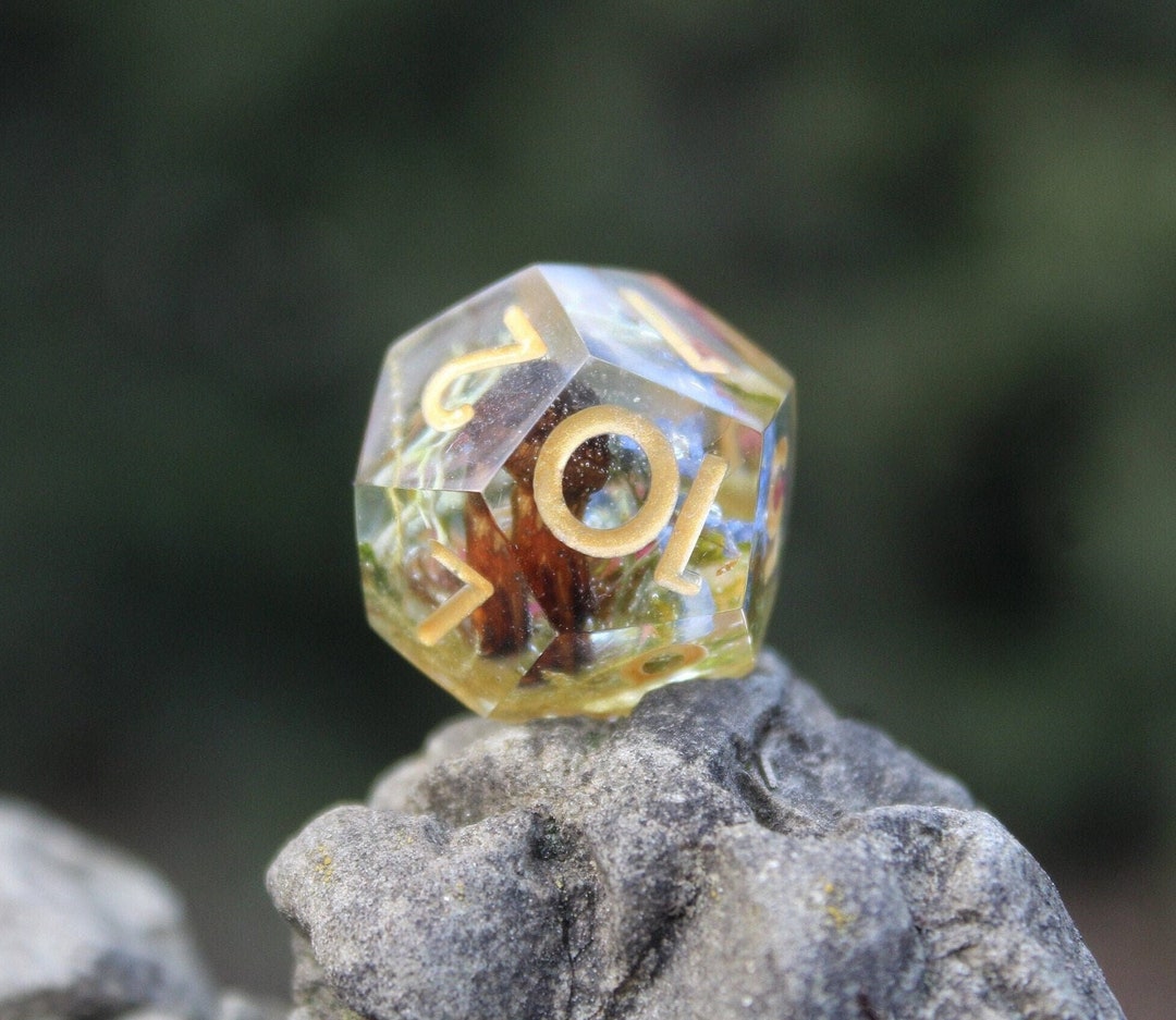 Single Mushroom Dice D12 Rpg Unique Dice D&D Moss Floral Forget Me Not ...