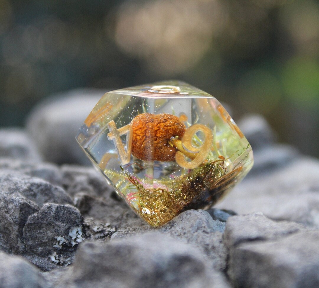 Dice D10 Rpg Mega Polyhedral Dice D&D Real Mushroom Moss Forget Me Not ...