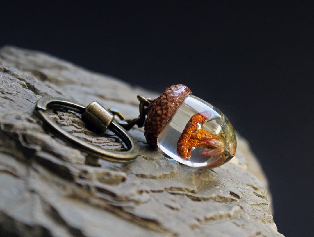 Acorn Keychain, Real Mushroom Keychain, Resin Acorn, Handmade Gift ...