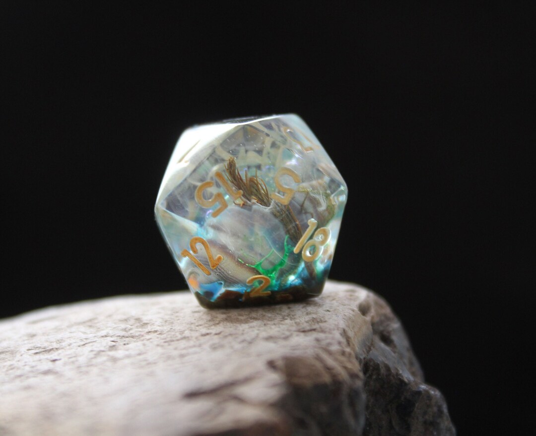 Single Dice D20 Rpg Ocean Shell Sea Pebbles Dice Polyhedral - Etsy