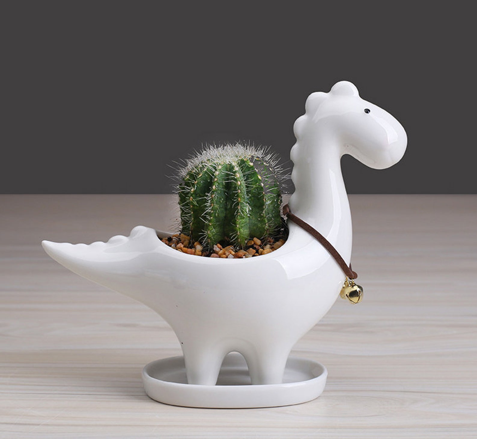 Dinosaur Ceramic Flower Pot Succulent Ceremic Planter Pottery - Etsy