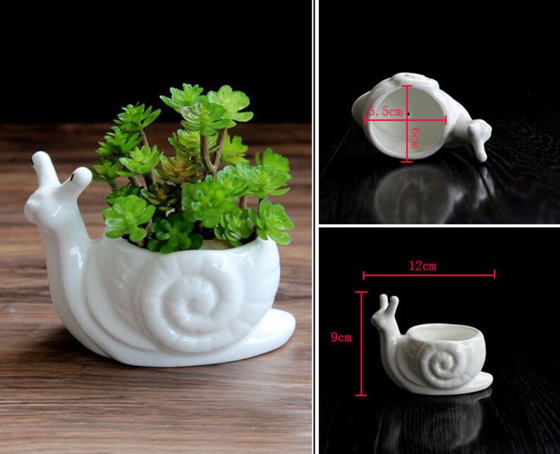 Snail Pottery Succulent Planter Ceremic Planter Terrarium Home | Etsy