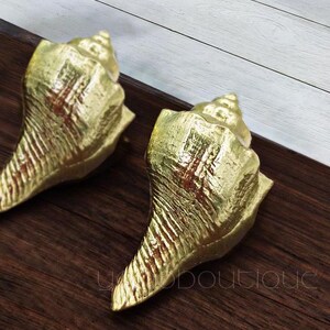 Conch Solid Brass Knob Cabinet Pulls Drawer Knob Dresser Pull Knobs ...