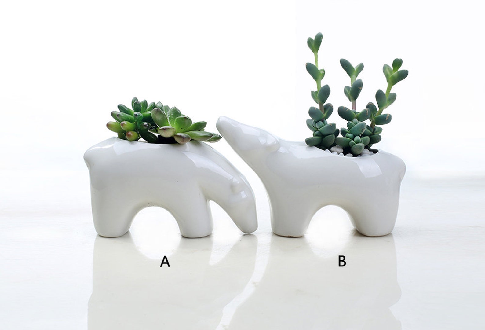 Polar Bear Ceramic Flower Pot Succulent Ceremic Planter - Etsy