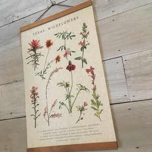 Botanical Texas Red Wildflower Poster - Etsy