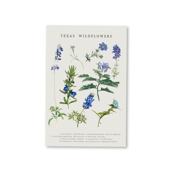 Texas Wildflower Print - Etsy