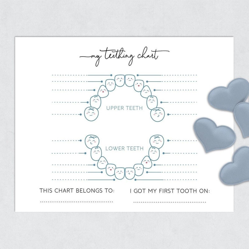 Baby Teeth - Etsy