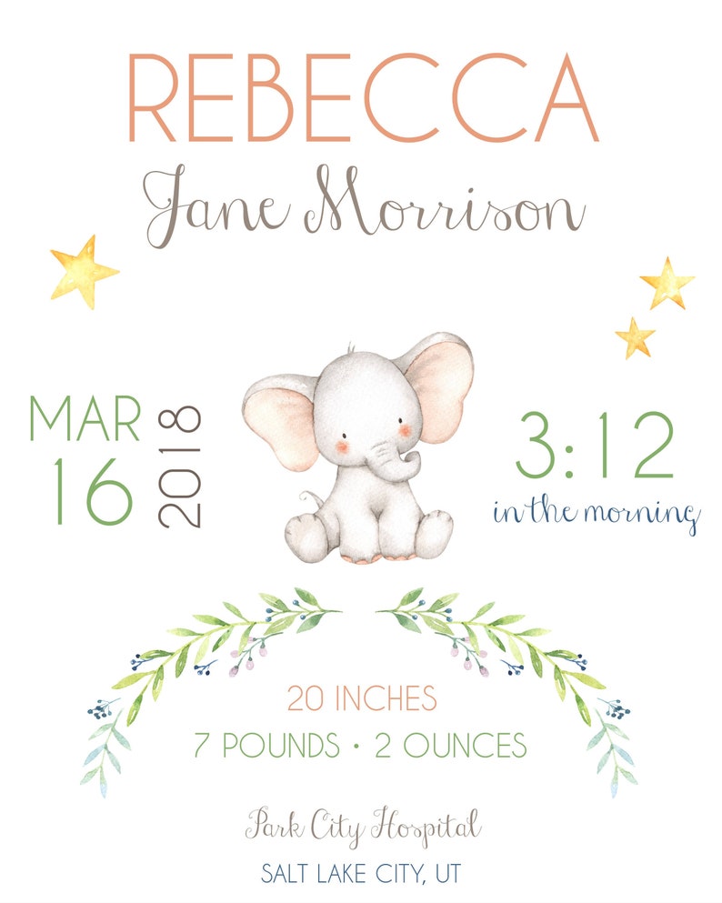 Baby Birth Stats Sign Editable Template Baby Birth Stats - Etsy