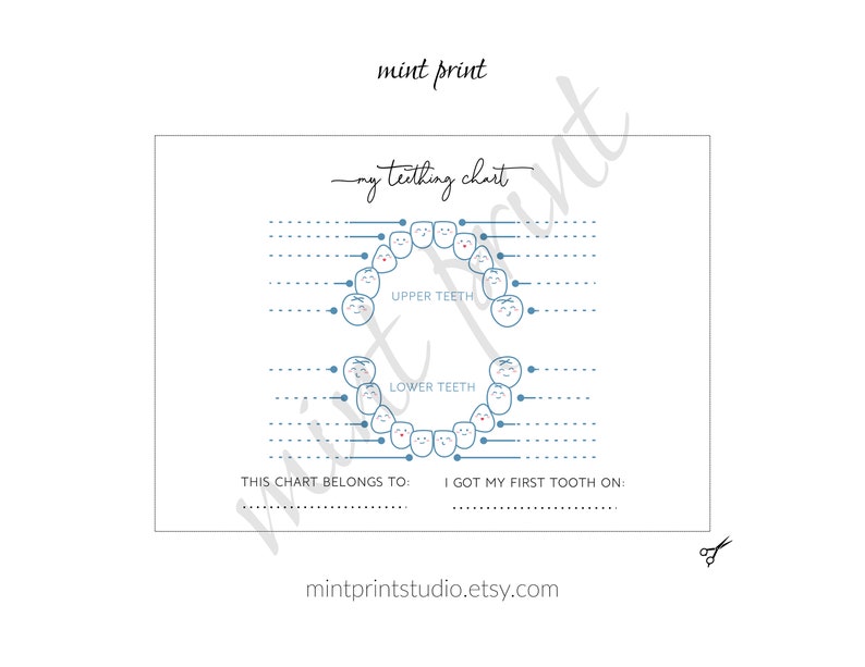 Baby Teething Chart Baby Tooth Record Keepsake Chart Baby - Etsy