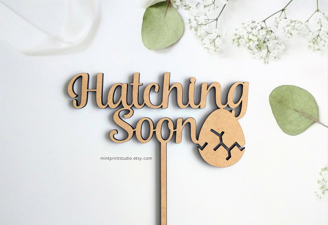 Hatching Soon Cake Topper Baby Shower Cake Topper Farm - Etsy