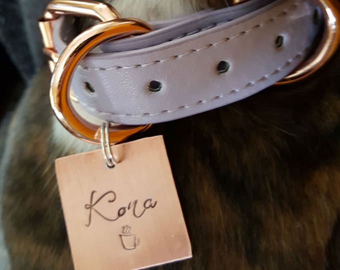 State of Michigan or Select Your State Pet Name Tag Medium - Etsy