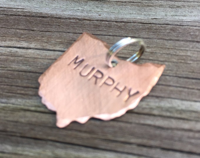State of Michigan or Select Your State Pet Name Tag Medium - Etsy