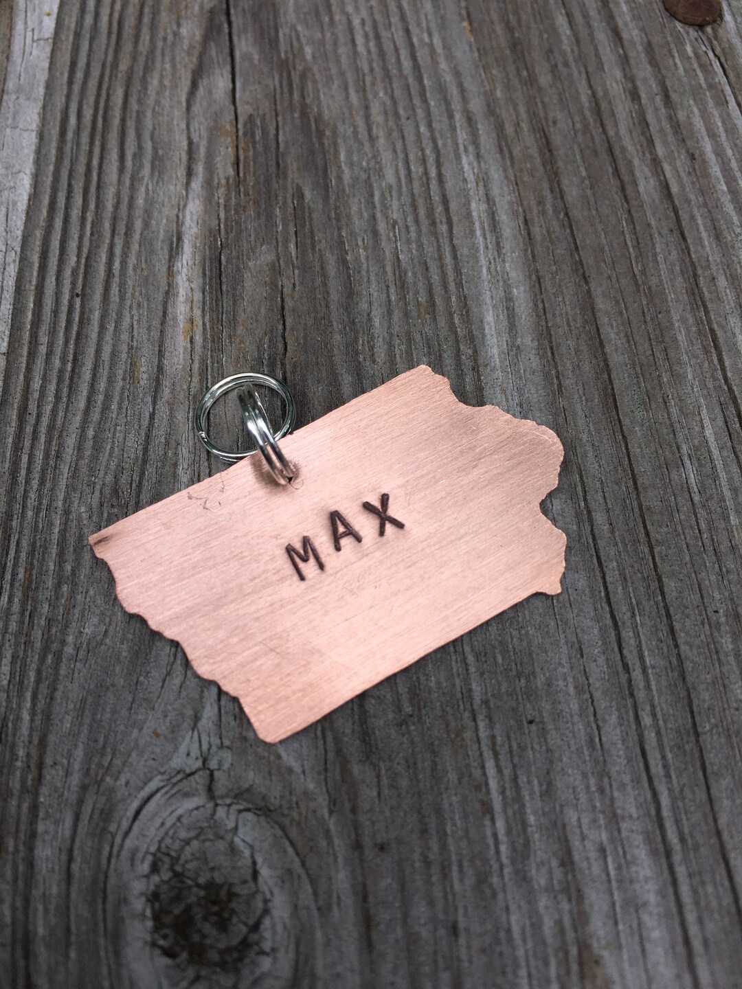 State of Iowa (or Select Your State) Pet Name Tag Medium 1" Max. Custom ...