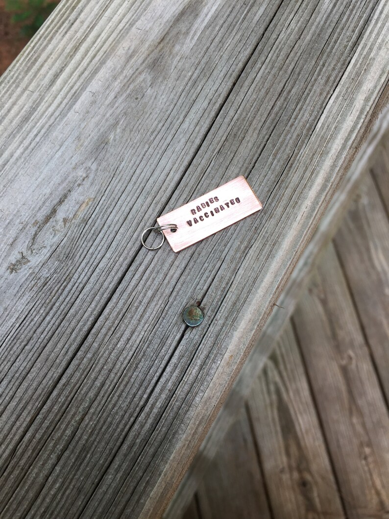 Rabies Vaccinated 1 1 4 Custom Pet Id Tag Dog Name Tag Etsy