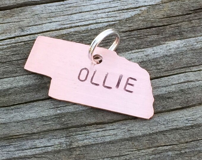 State of Michigan or Select Your State Pet Name Tag Medium - Etsy
