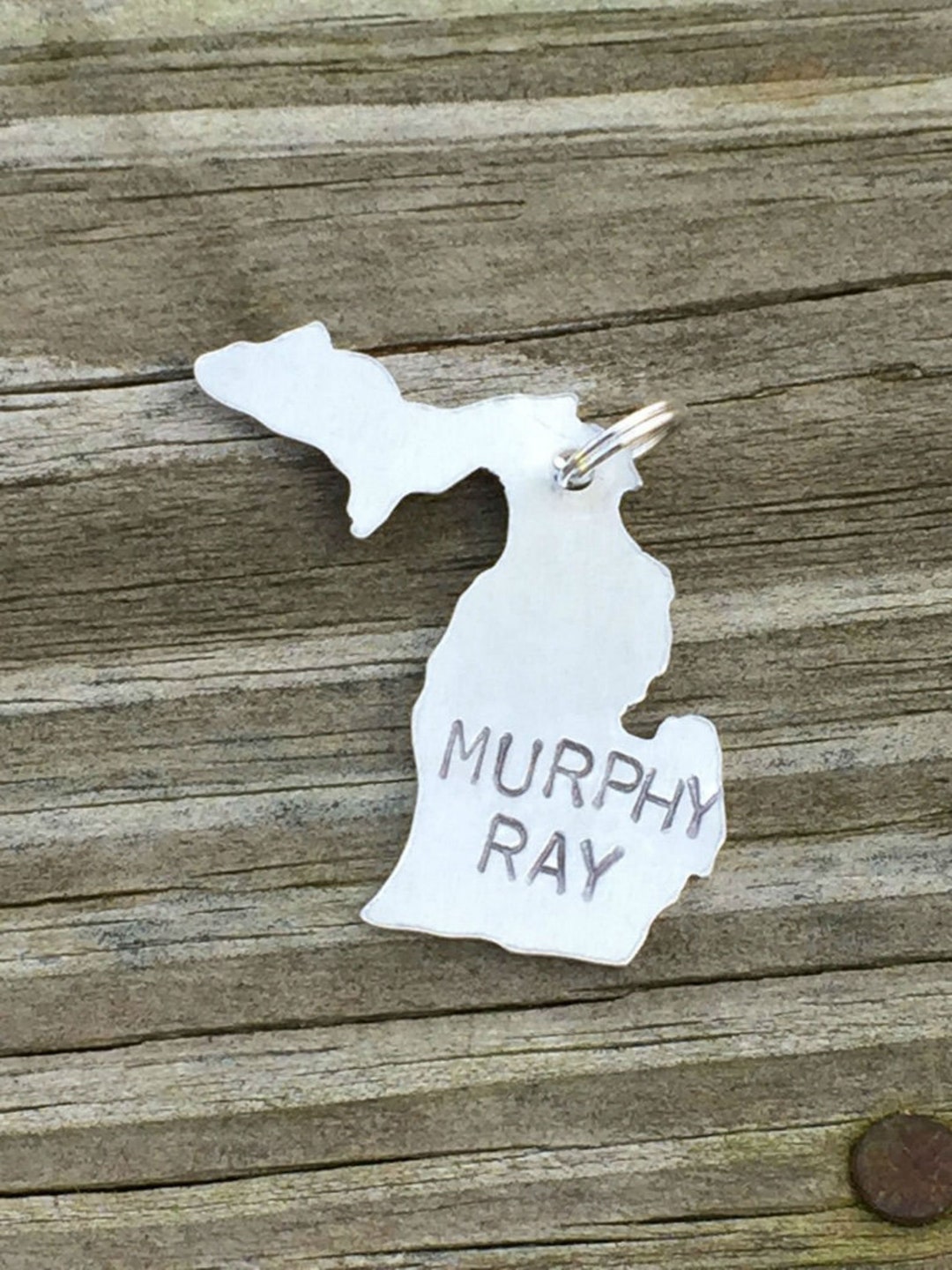State of Michigan (or Select Your State) Pet Name Tag Medium 1" Max ...
