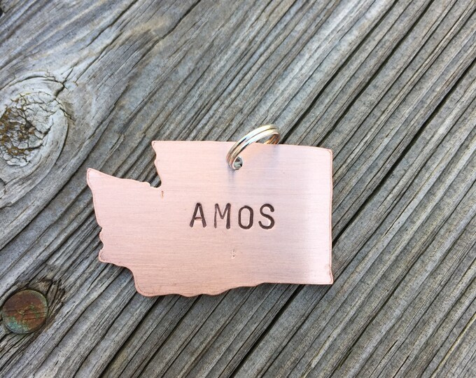 State of Minnesota or Select Your State Pet Name Tag Medium - Etsy