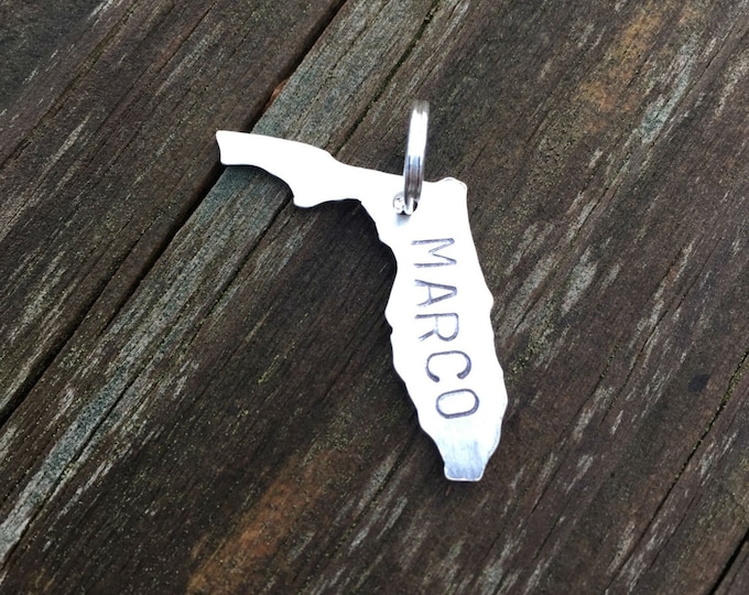 State of Michigan or Select Your State Pet Name Tag Medium - Etsy