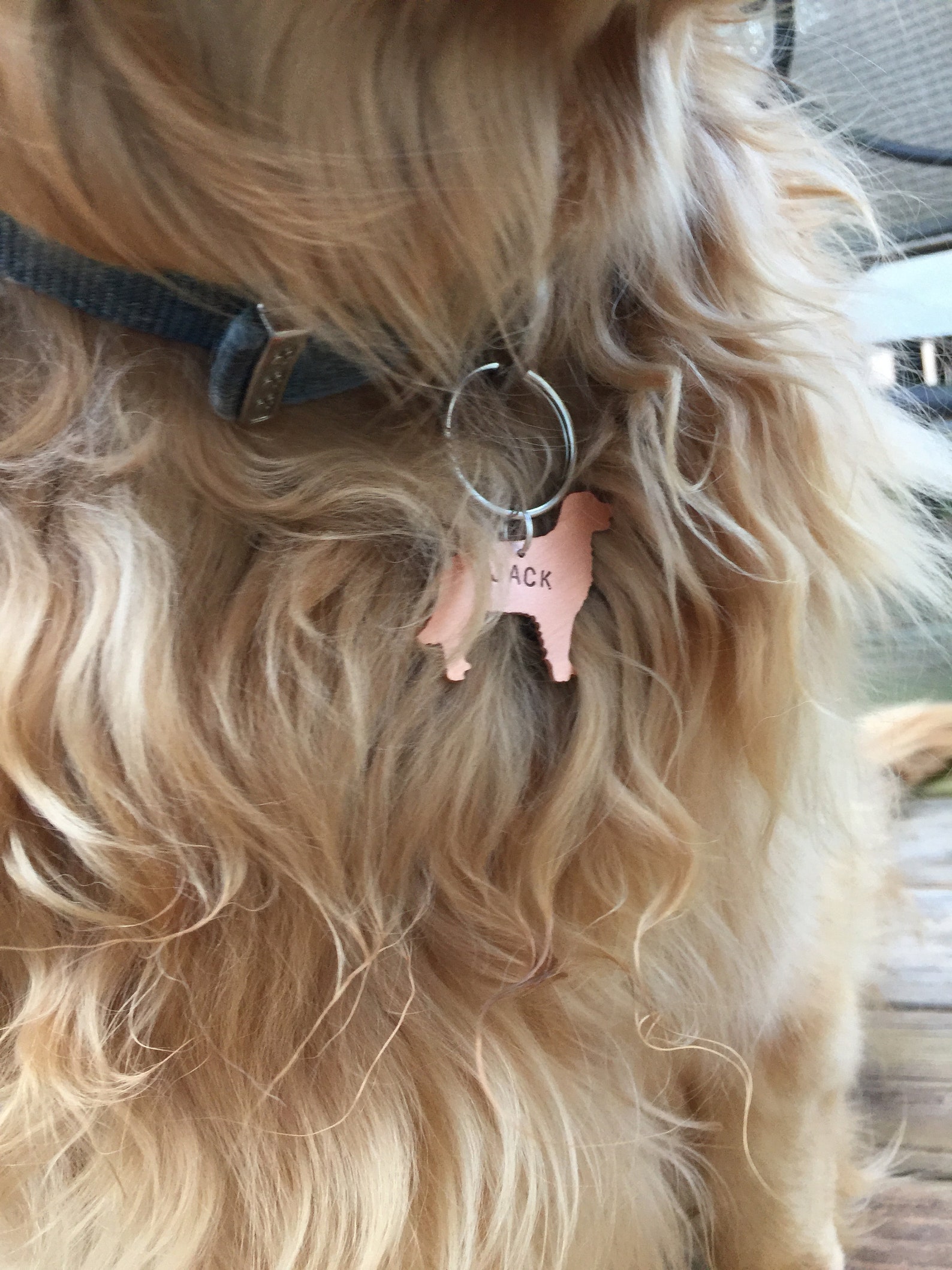 Pomsky (or Select Different Breed) Outline - 1 1/4" Custom Pet Id Tag ...