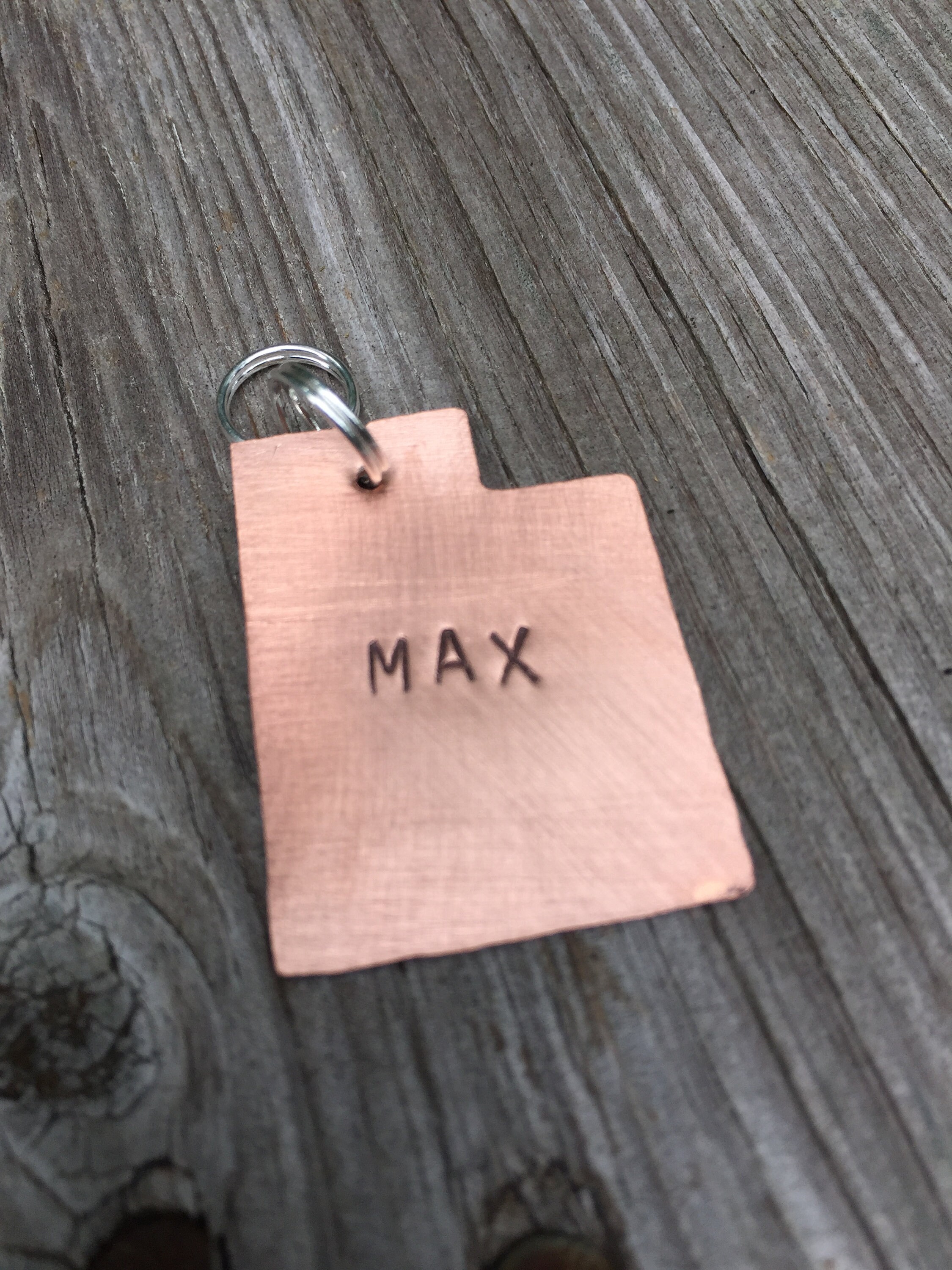 State of Utah or Select Your State Pet Name Tag Medium - Etsy