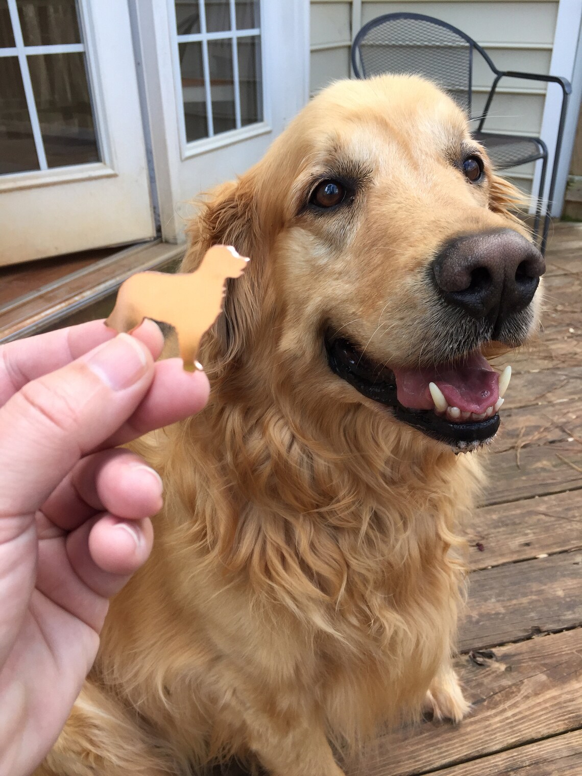 Pomsky (or Select Different Breed) Outline - 1 1/4" Custom Pet Id Tag ...