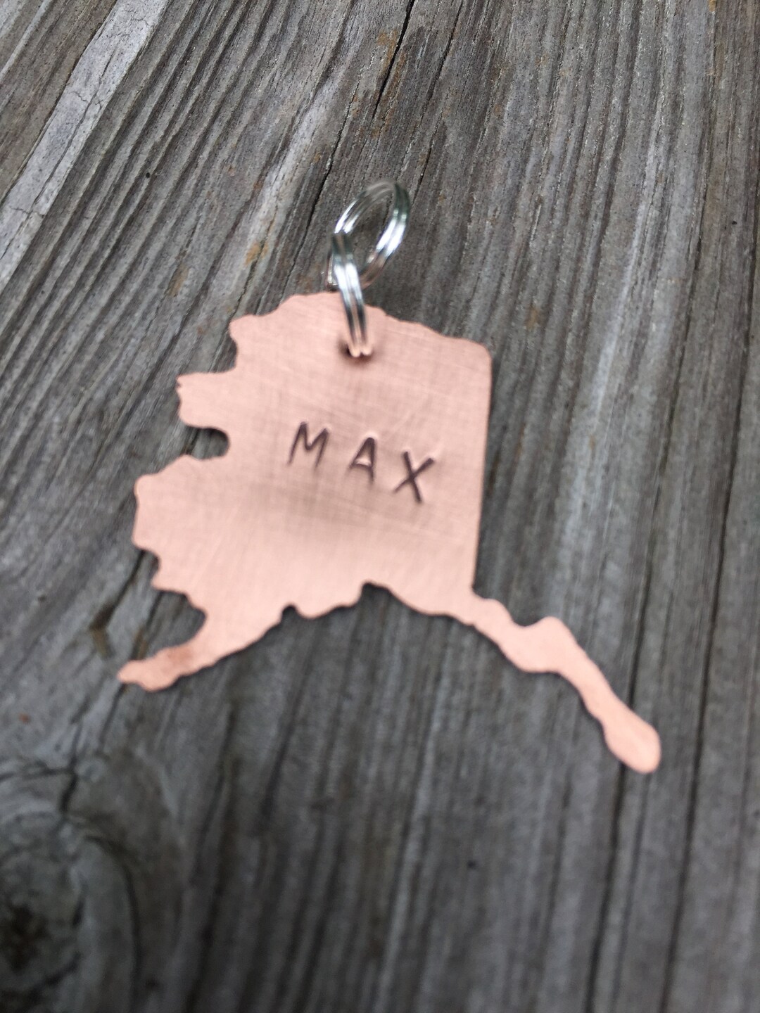State of Alaska (or Select Your State) Pet Name Tag Medium 1" Max ...