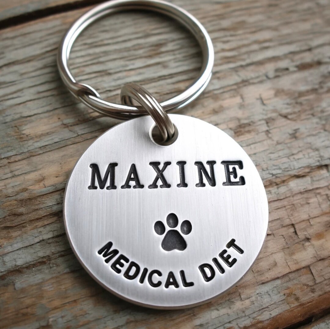 Dog Tags, Medical Diet Alert Pet ID Tag - Essential Safety for Pets ...