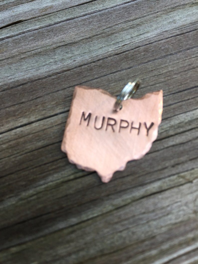 State of Ohio or Select Your State Pet Name Tag Medium | Etsy