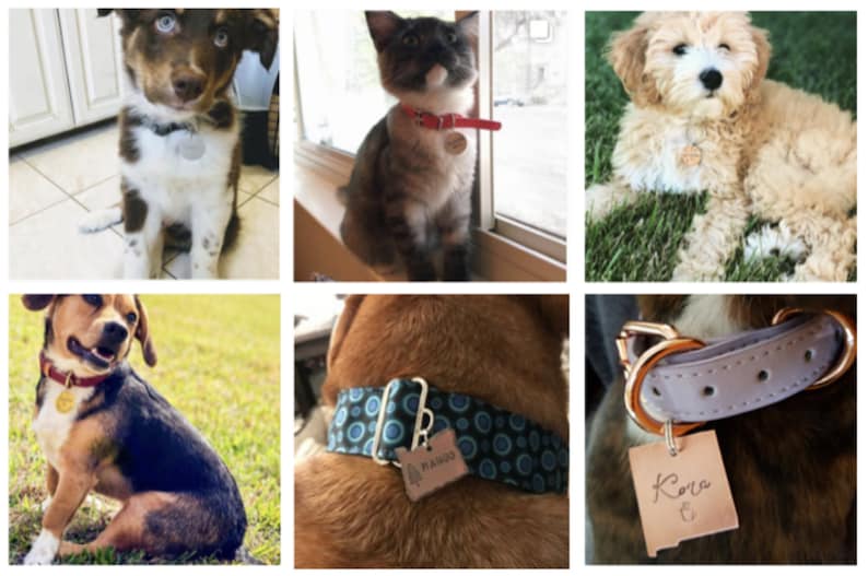 State of Indiana or Select Your State Pet Name Tag Medium 1 - Etsy