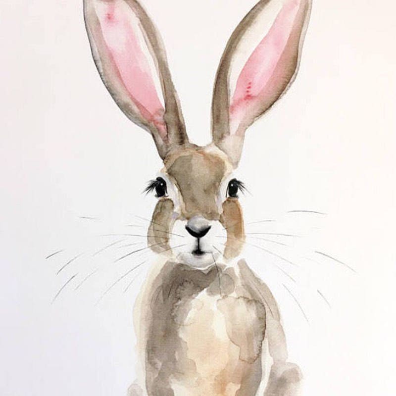 Bunny Watercolor - Etsy