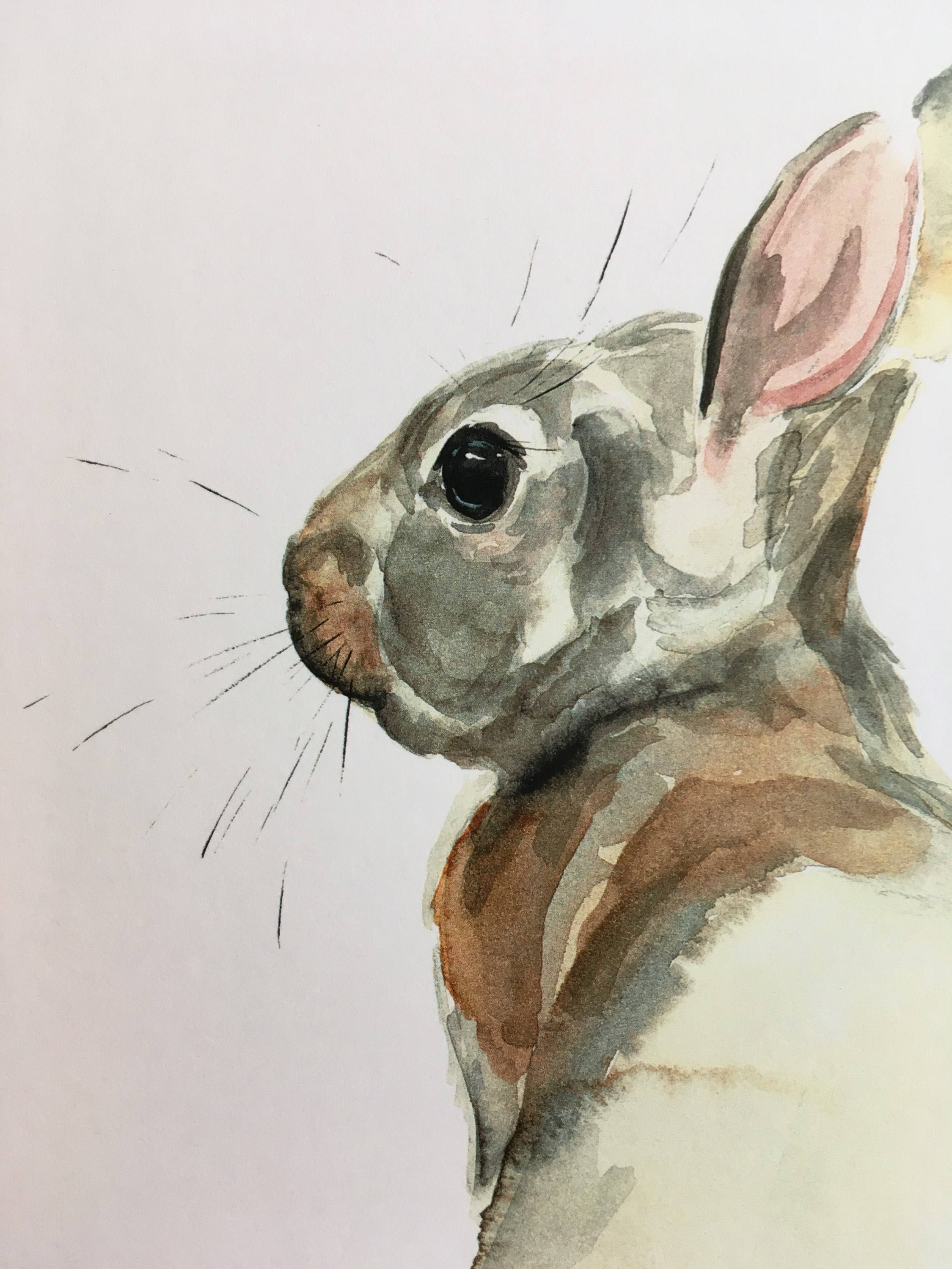 Baby Bunny Watercolor PRINT | Etsy