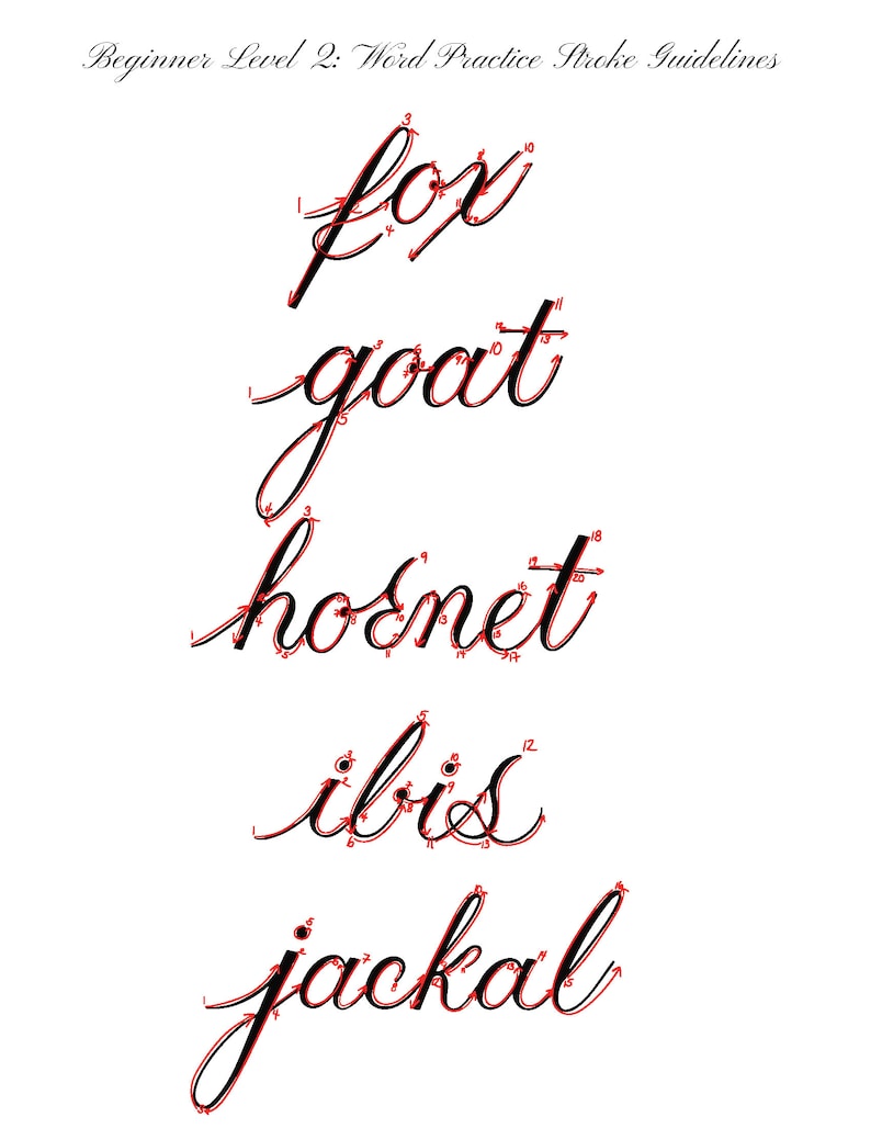Beginner Level 2: Calligraphy Word Practice Worksheet Animal Theme ...