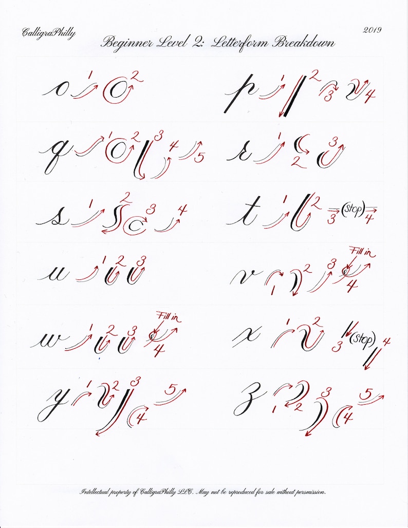 Lowercase Calligraphy Alphabet Worksheet: Beginner Level 2 (digital ...