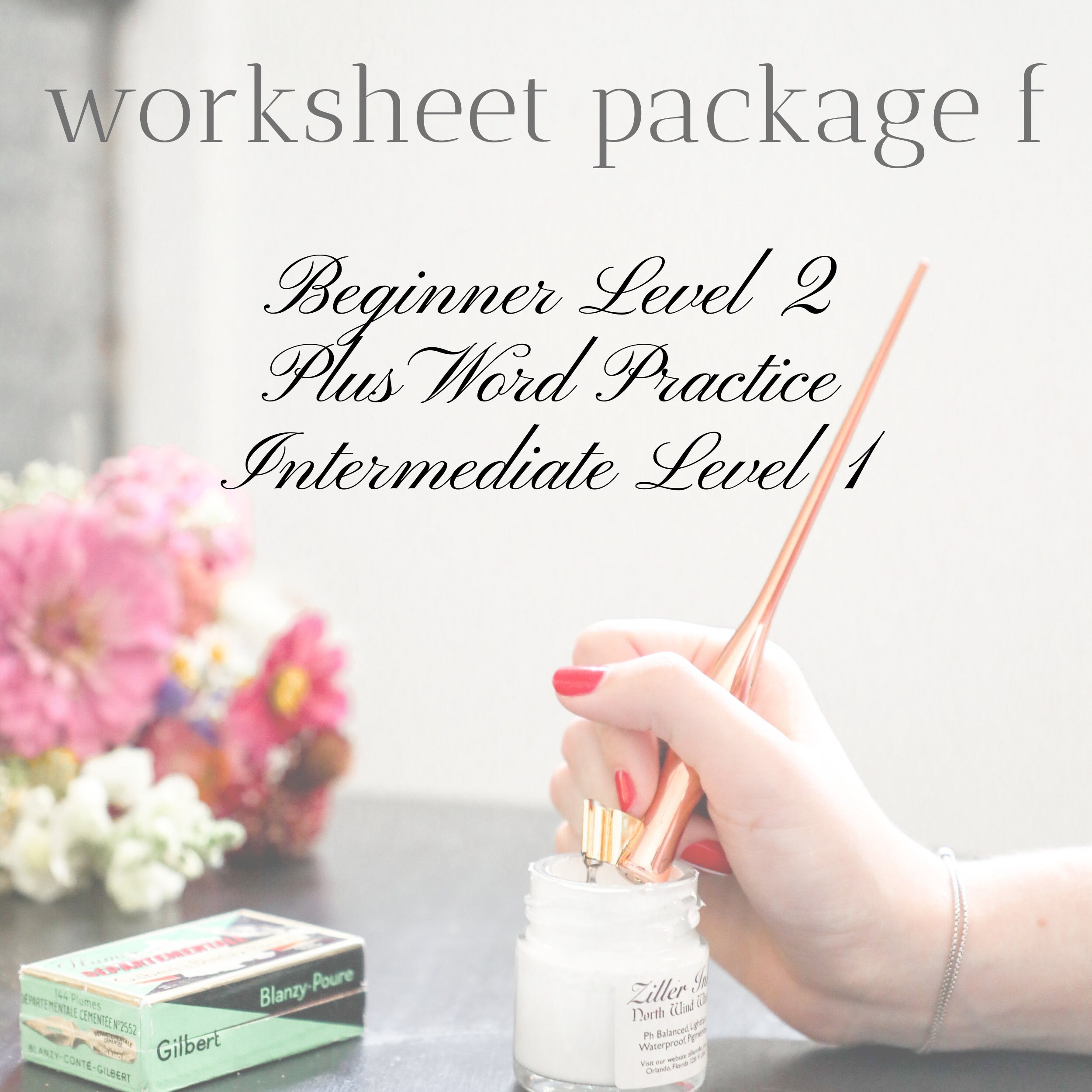 Worksheet Package F: Beginner Level 2 With Word Practice, Intermediate ...