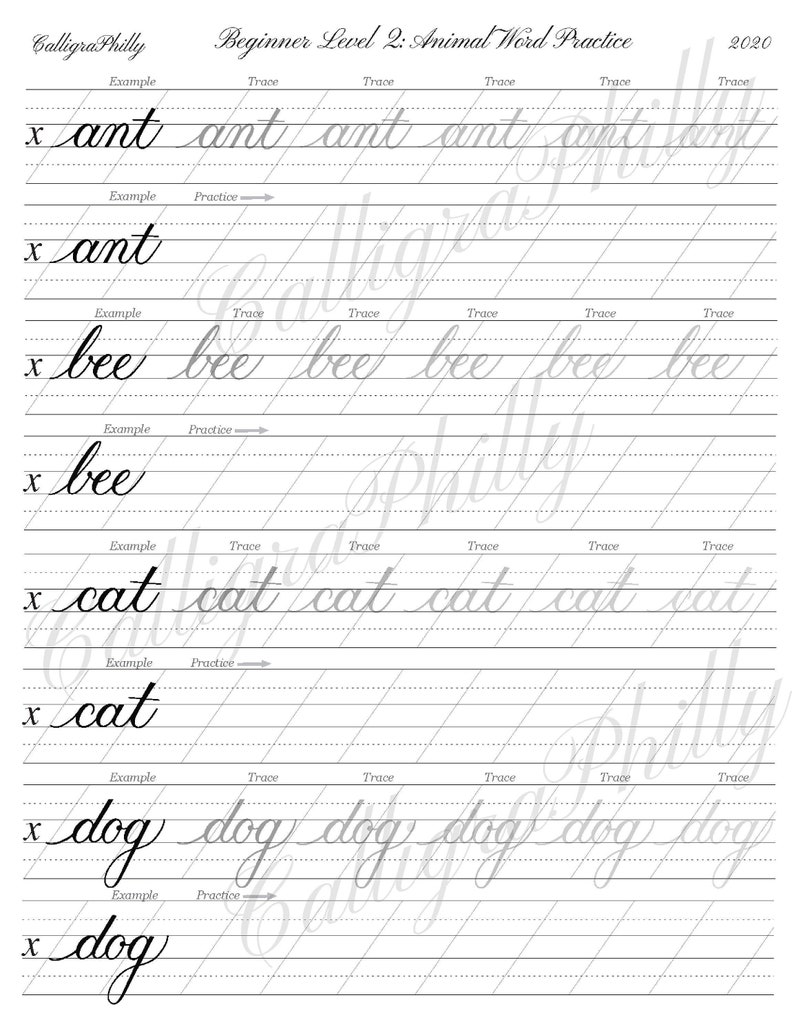 Beginner Level 2 Calligraphy Word Practice Worksheet Animal Etsy