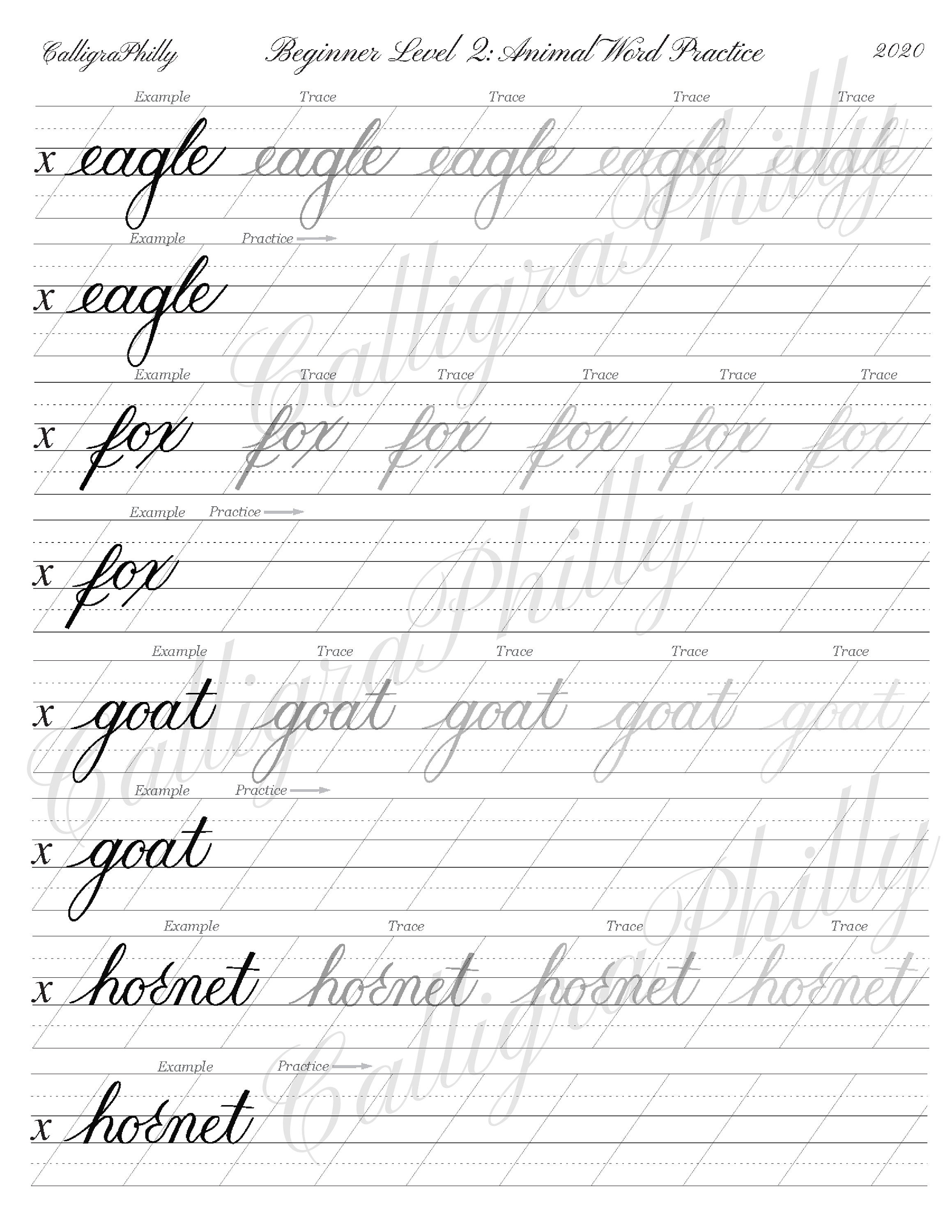 Beginner Level 2: Calligraphy Word Practice Worksheet & Blank - Etsy