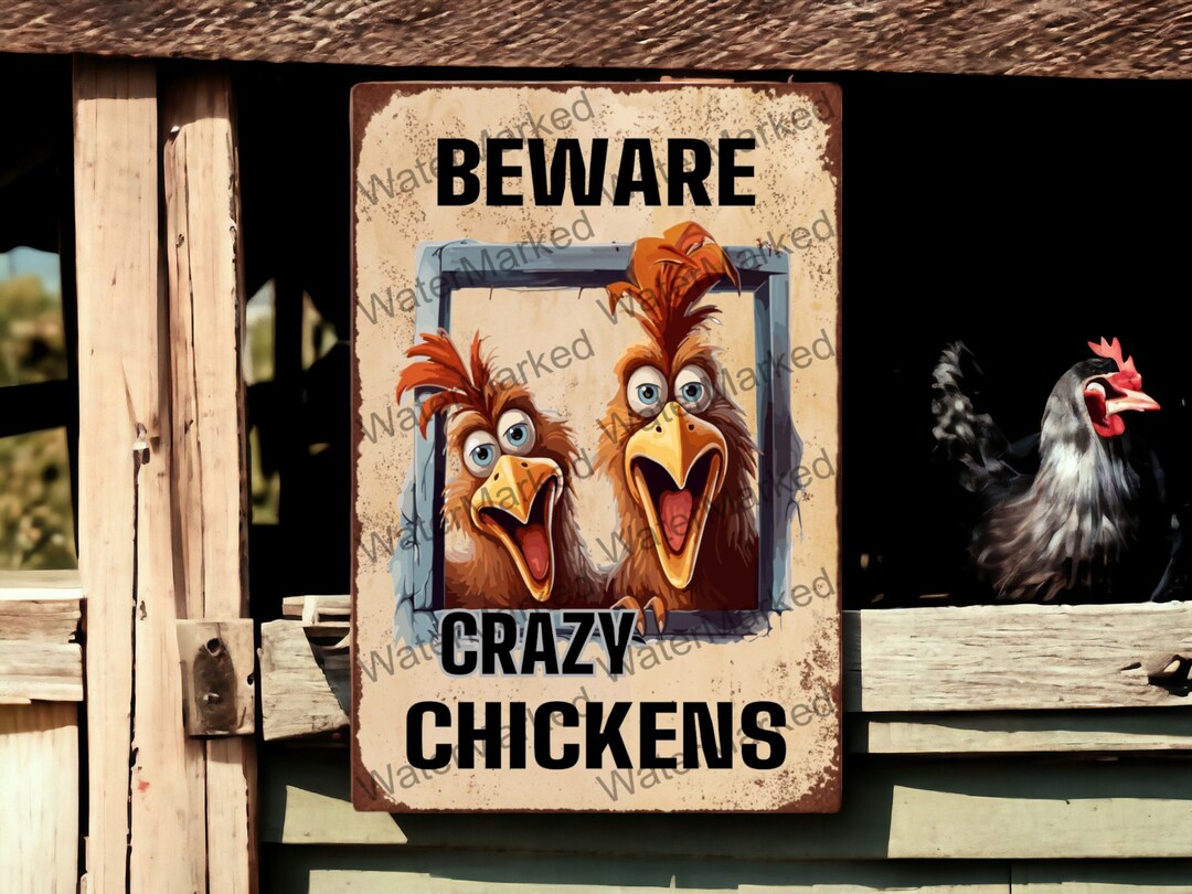 Funny Chicken Sign: Beware Crazy Chickens Decor - Etsy