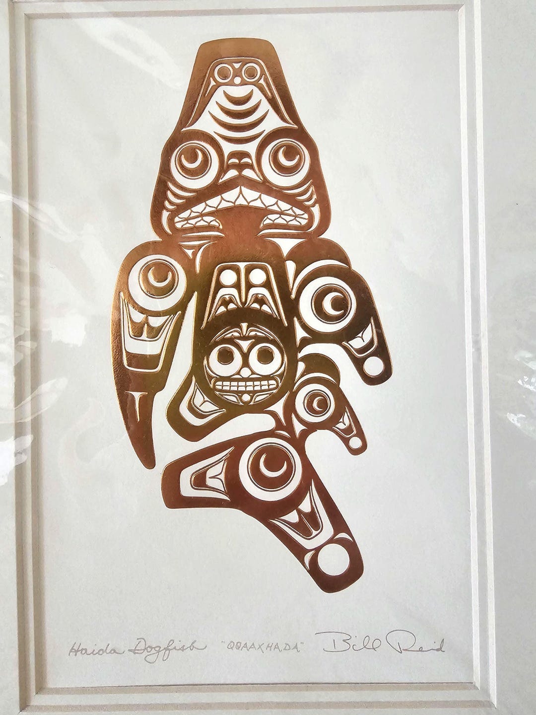 Haida Dogfish Art, Bill Reid Art, Pacific Northwest Coast Art, Haida ...