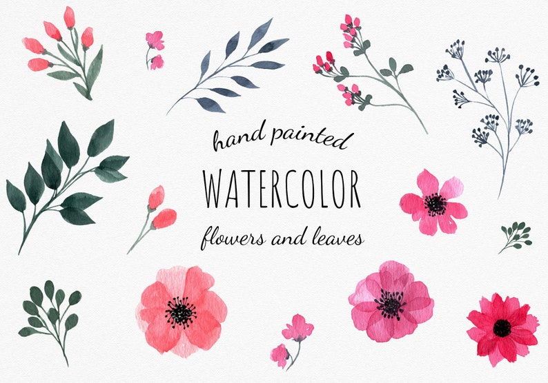 Watercolor Wild Flowers Clipart. Summer Meadow Flowers Set - Etsy