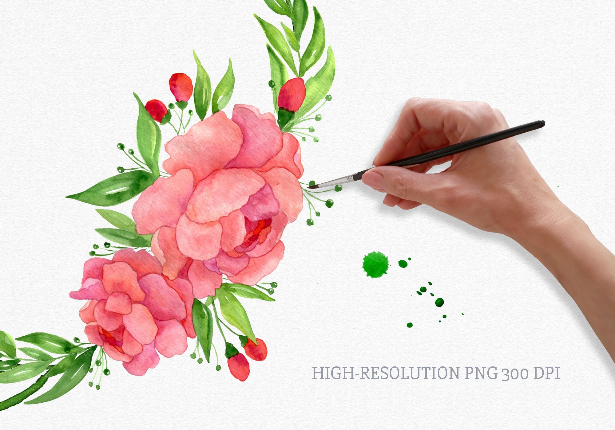 Peonies Wreath Clipart, Watercolor Floral Clipart, PNG, Blush Sweet ...