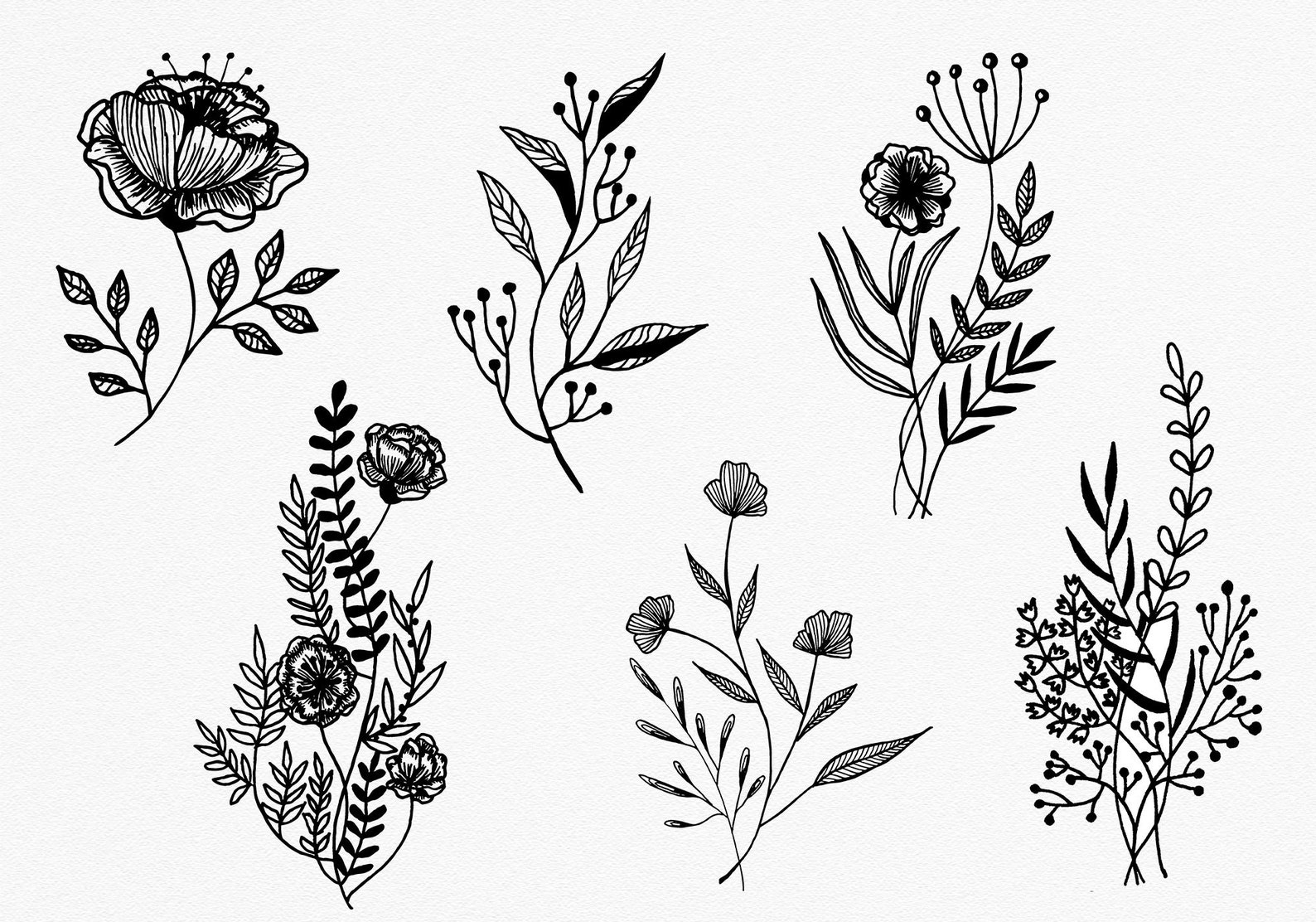 Hand Drawn Flowers Arrangements. Set of Hand Drawn Plants, Branches ...