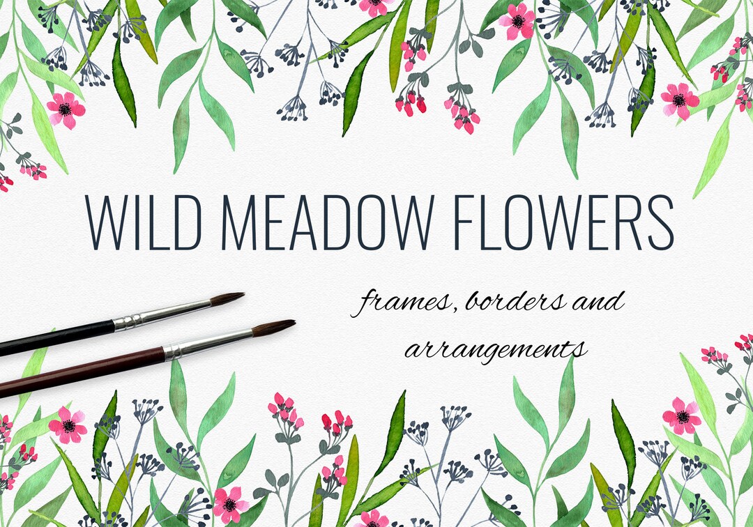 Wild Meadow Flowers Frames, Borders and Arrangements. Watercolor ...