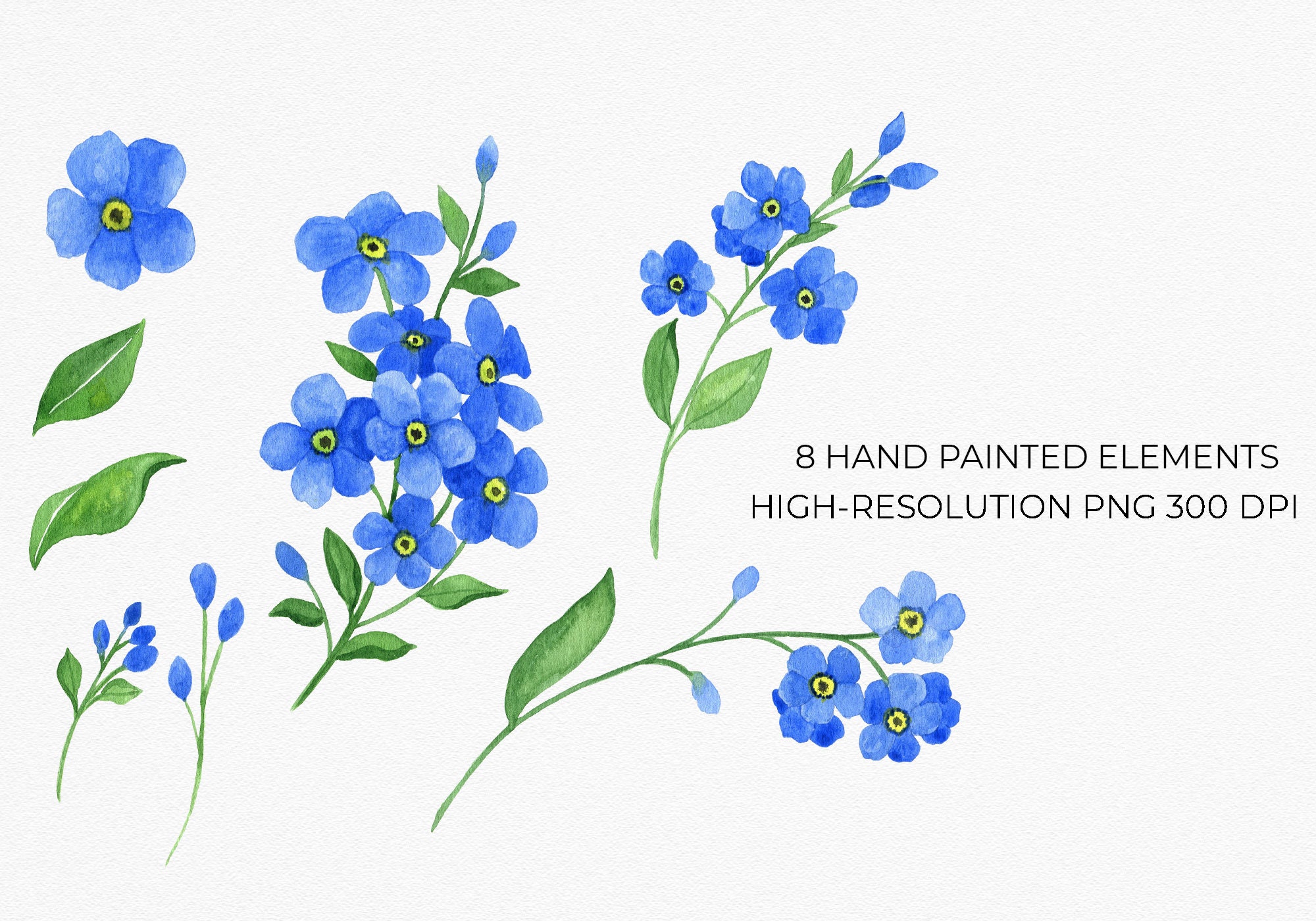 Forget Me Not Flowers Clip Art Set. Blue Flowers and Wreaths - Etsy