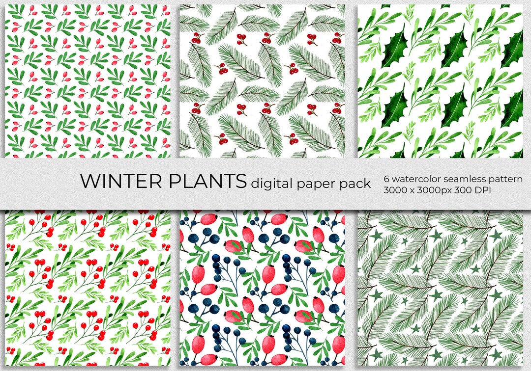 WINTER PLANTS Watercolor Papers Digital. Floral Winter Patterns ...